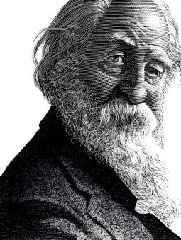 Scratchboard Illustrations by Mark Summers | Daily design inspiration ...