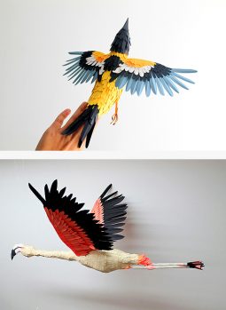 Colourful Paper Birds by Diana Beltran Herrera | Daily design ...
