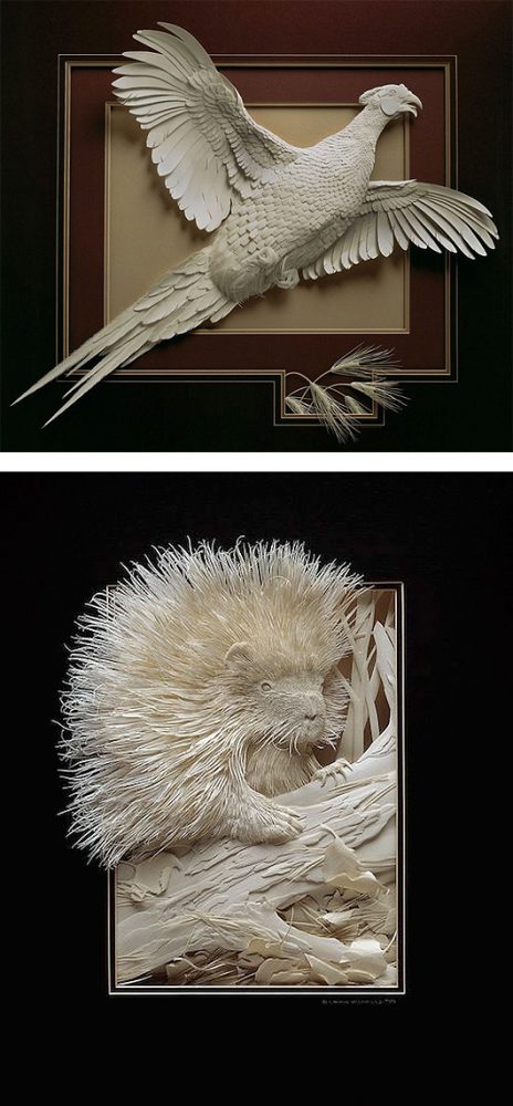 Realistic Wildlife Paper Sculptures by Calvin Nicholls | Daily design ...