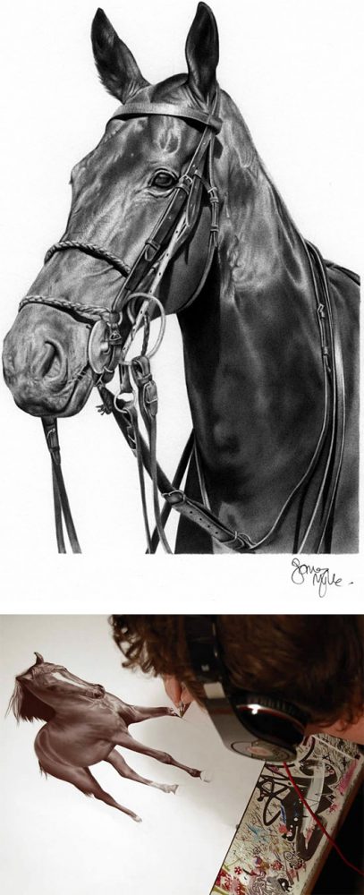 Realistic Ballpoint Pen Drawings by James Mylne | Daily design ...