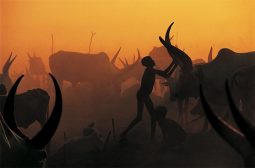 Dinka: Photo Series by Carol Beckwith & Angela Fisher | Daily design ...