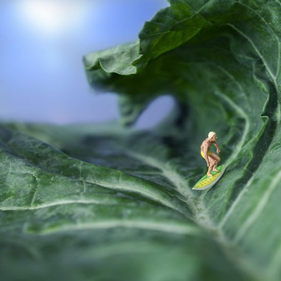 A Miniature World: Photos by William Kass | Daily design inspiration ...