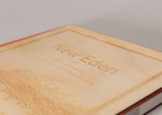 New Eden: A Book Celebrating Great Game Environments | Daily design ...