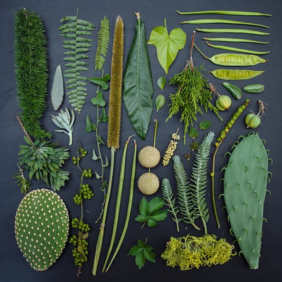 Arrangements: Neatly Organized Photos by Emily Blincoe | Daily design ...