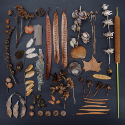 Arrangements: Neatly Organized Photos by Emily Blincoe | Daily design ...