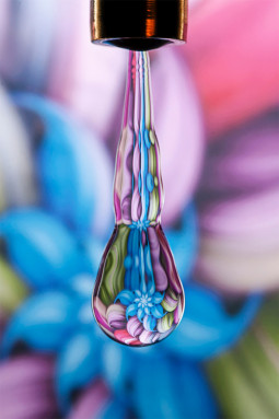 Water Drops: Photo Series by Dave Wood | Daily design inspiration for ...
