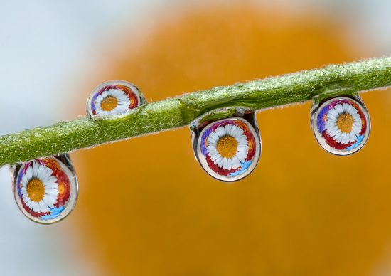 Water Drops: Photo Series by Dave Wood | Daily design inspiration for ...