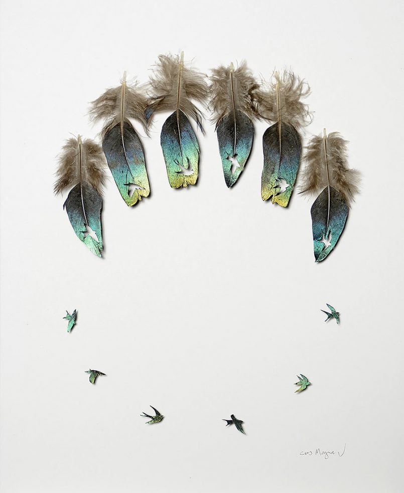 Feathers, Form and Function: Artworks by Chris Maynard | Daily design ...
