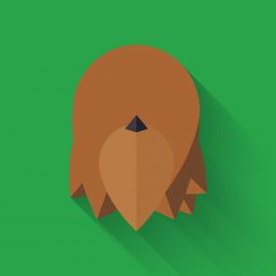 Star Wars: The Flat Awakens by Filipe de Carvalho | Daily design ...