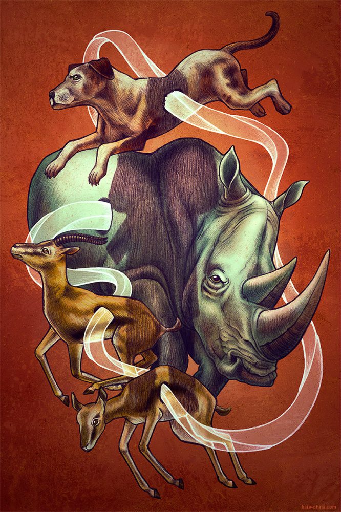 Illustrations by Kate O'Hara | Daily design inspiration for creatives ...