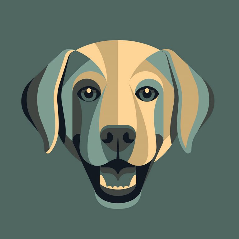 Dog Breed Illustrations by DKNG | Daily design inspiration for ...