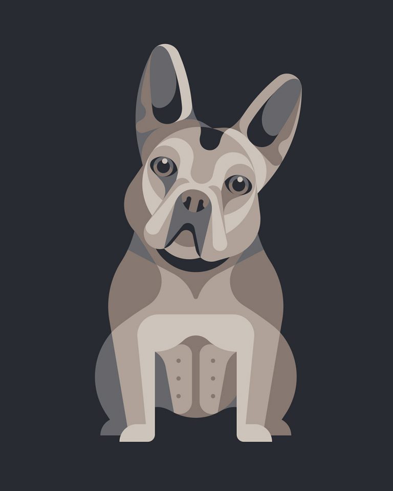Dog Breed Illustrations by DKNG | Daily design inspiration for ...