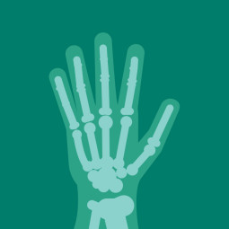 New Daily Illustrations by Jag Nagra | Daily design inspiration for ...