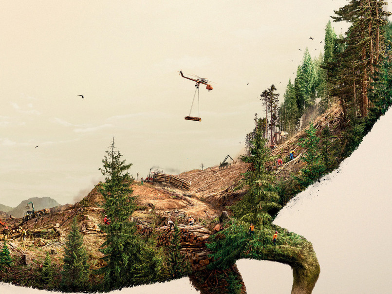 Destroying Nature is Destroying Life: Campaign by Illusion | Daily ...