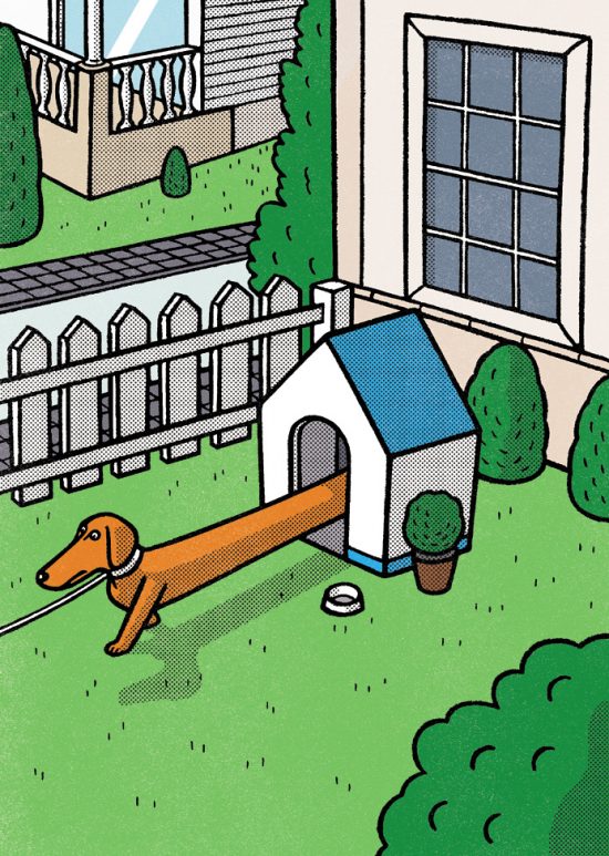 Illustrations by Takeuma | Daily design inspiration for creatives ...