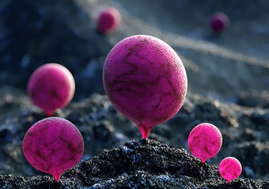 Celestial Series: Digital Artworks by David Brodeur | Daily design ...