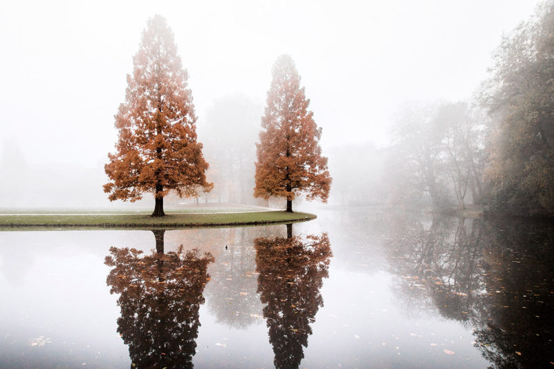 Silence: Fine Art Photography by Claire Droppert | Daily design ...