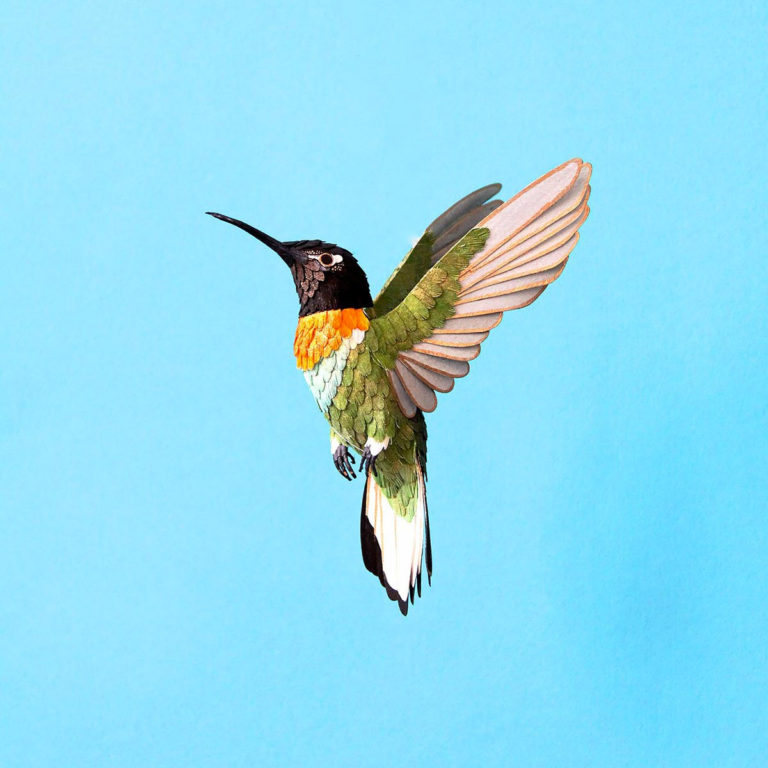 New Paper Bird Sculptures by Diana Beltran Herrera | Daily design ...