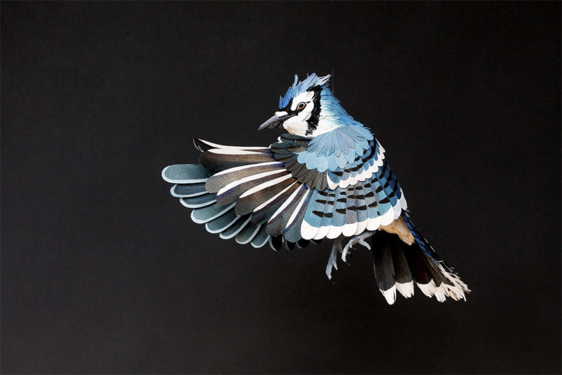 New Paper Bird Sculptures by Diana Beltran Herrera | Daily design ...