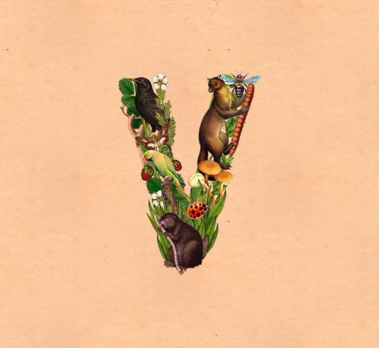 Early Birds: Creative Lettering by Pat Simons | Daily design ...