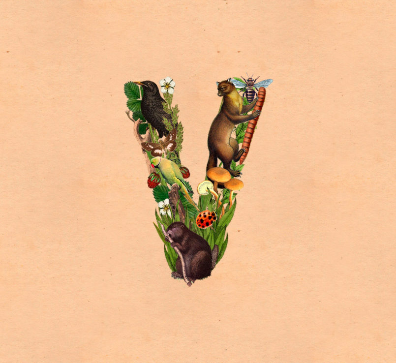 Early Birds: Creative Lettering by Pat Simons | Daily design ...