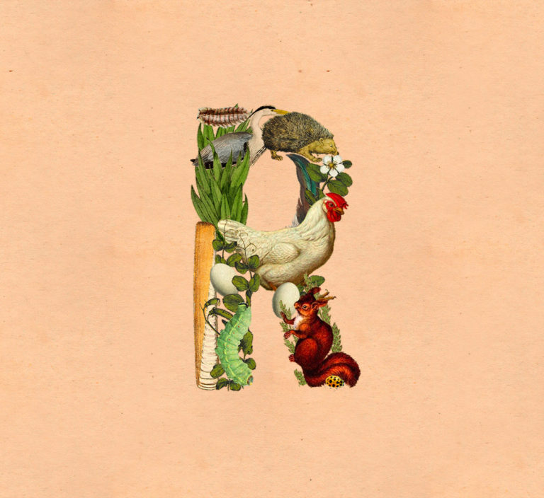 Early Birds: Creative Lettering by Pat Simons | Daily design ...