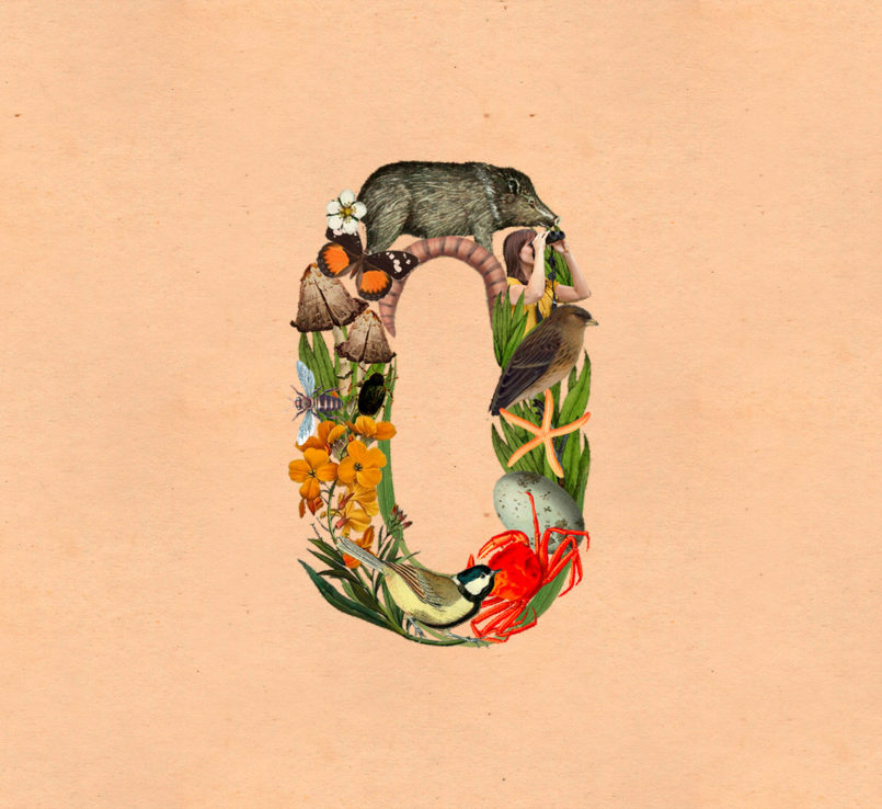 Early Birds: Creative Lettering by Pat Simons | Daily design ...