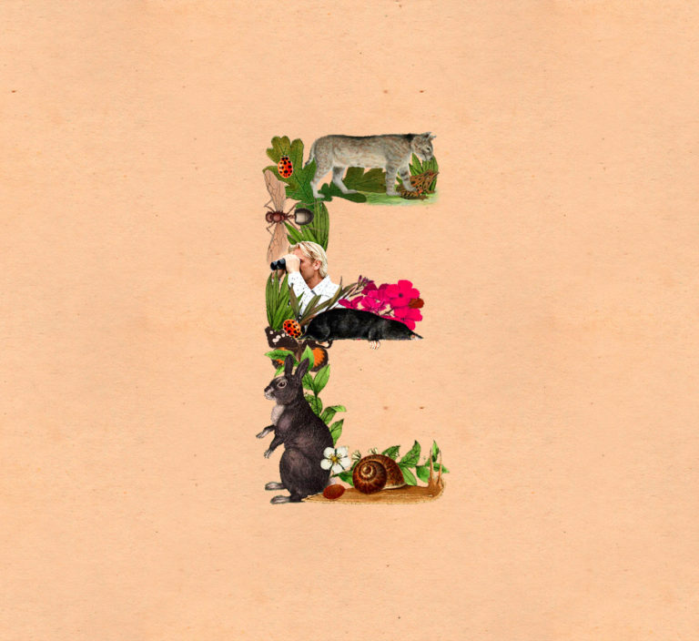 Early Birds: Creative Lettering by Pat Simons | Daily design ...