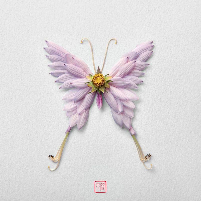Insects made of flowers and plants by Raku Inoue | Daily design ...