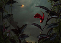 Botanical Inquiry: Photography Series by Daniel Shipp | Daily design ...