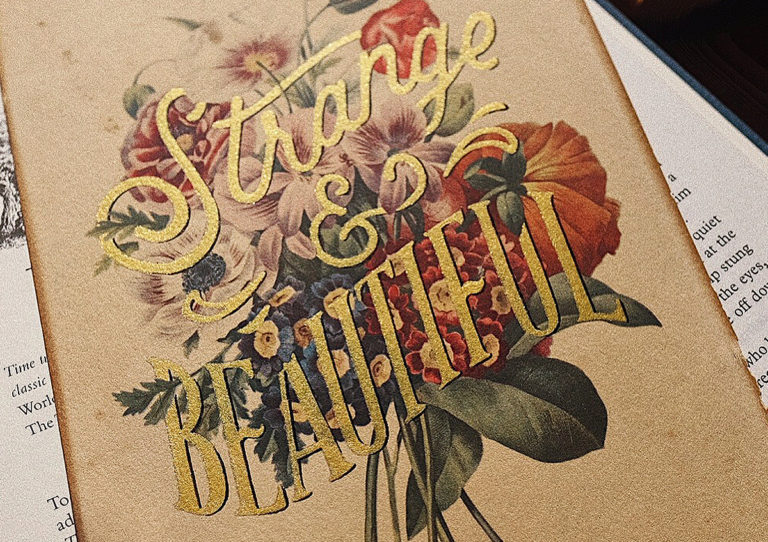 Gorgeous Hand-Lettering Work by Travis Stewart | Daily design ...