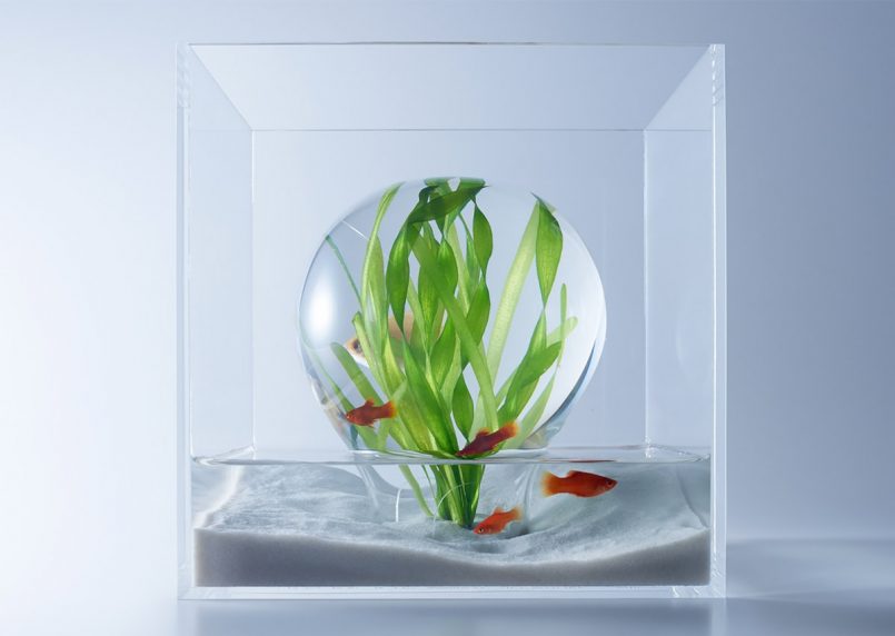 Waterscapes: The fish bowl reimagined by Haruka Misawa | Daily design ...