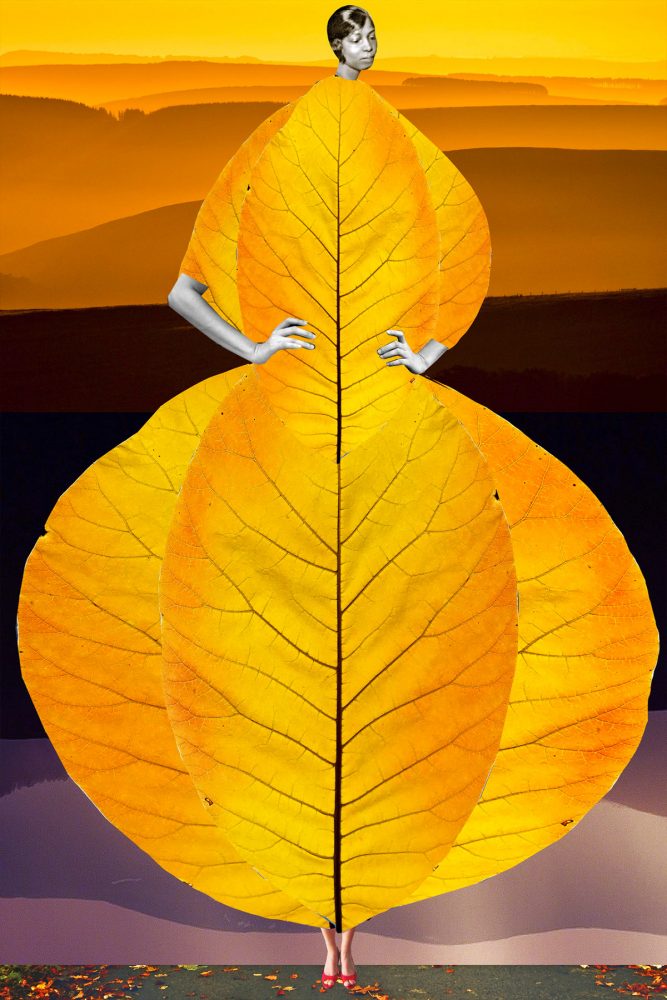 Imaginary Beings: Fantastic Collages by Johanna Goodman | Daily design ...