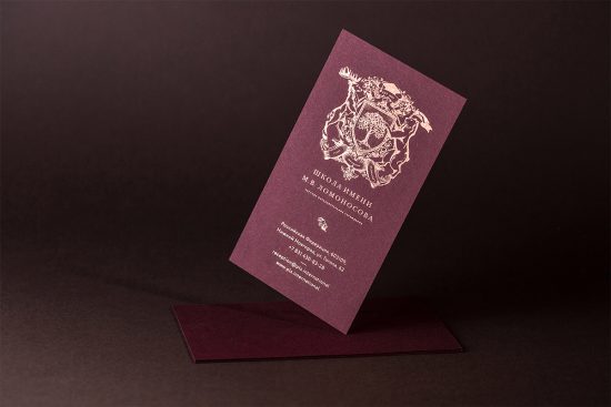 Private Lomonosov School Branding by Loco Studio | Daily design ...