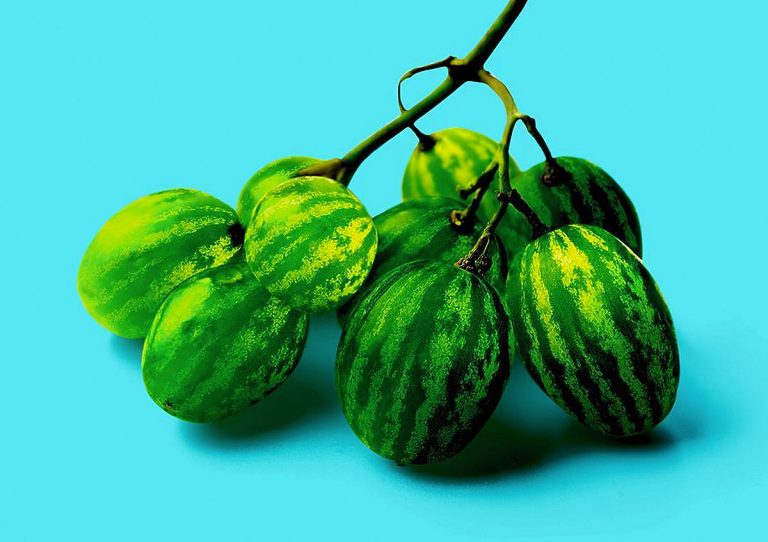 This or That: Photo Manipulations by Randy Lewis | Daily design ...