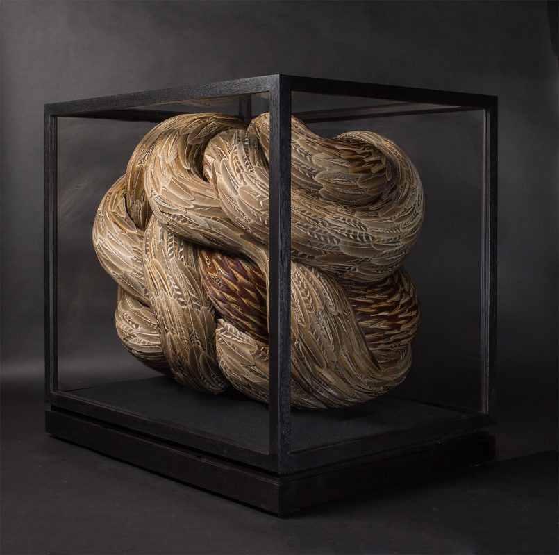 Intricate Feather Sculptures by Kate MccGwire | Daily design ...