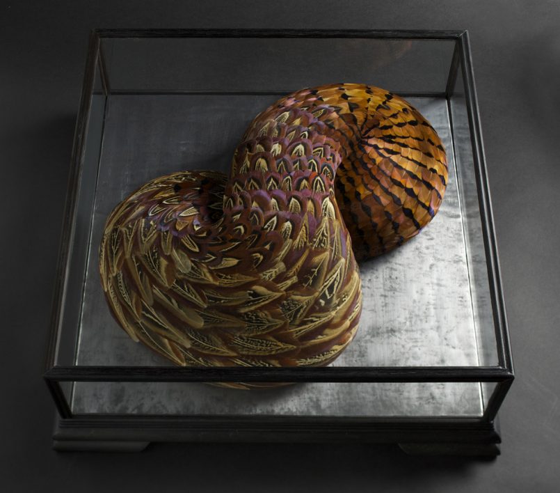 Intricate Feather Sculptures by Kate MccGwire | Daily design ...