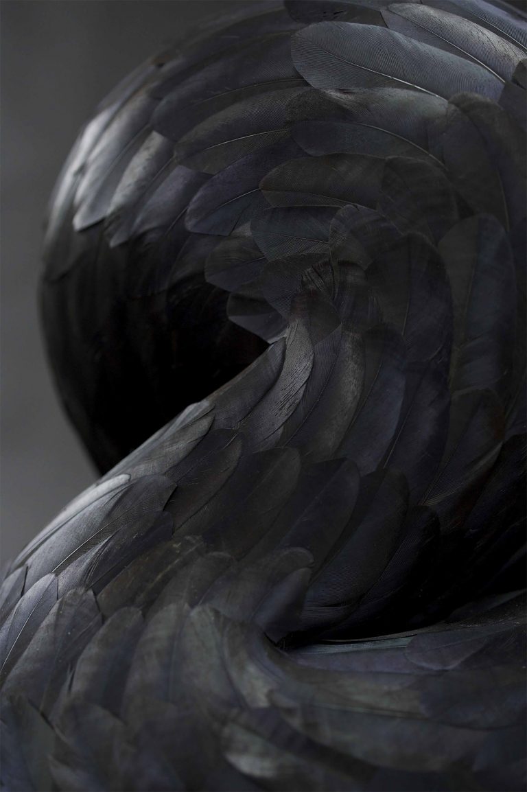 Intricate Feather Sculptures by Kate MccGwire | Daily design ...