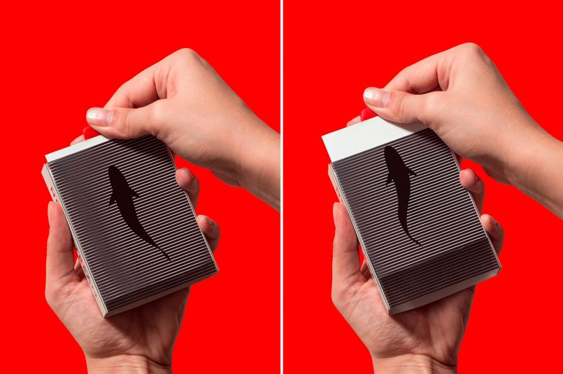 Nord Stream: Animated Packaging Design by LOCO Studio | Daily design ...