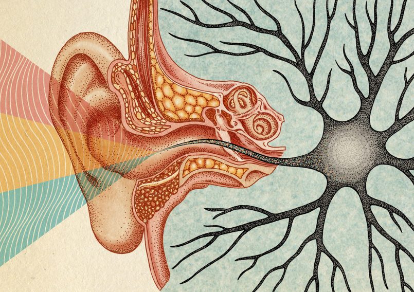 Beautiful Biology: Illustrations by Katie Scott | Daily design ...