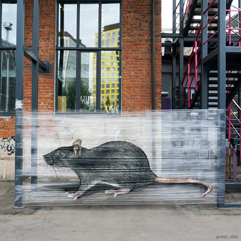 Cellograffiti Series by Evgeny Ches | Daily design inspiration for ...