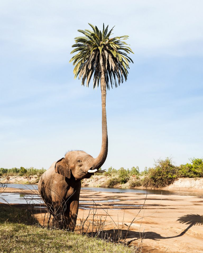 Surreal Photo Manipulations by Justin Peters | Daily design inspiration ...