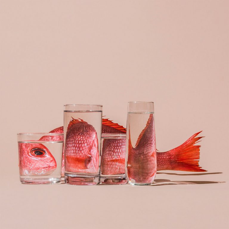Perspective: Distorded Photos by Suzanne Saroff | Daily design ...