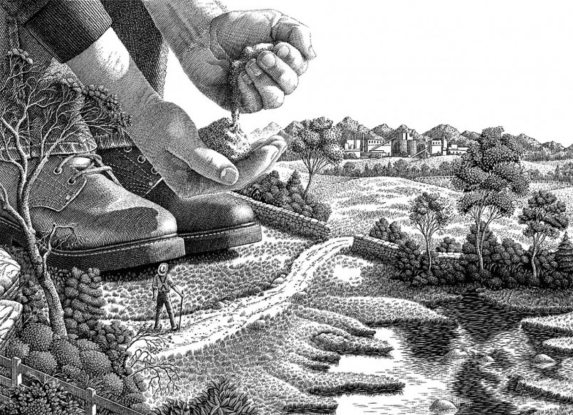 Scratchboard Illustrations by Michael Halbert | Daily design ...