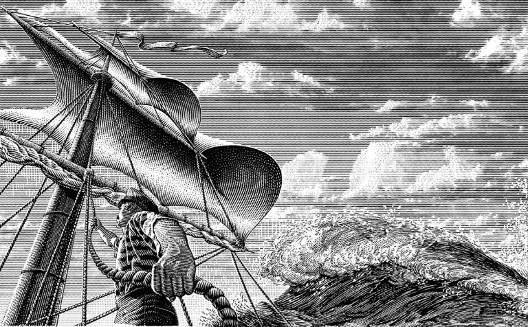 Scratchboard Illustrations by Michael Halbert | Daily design ...