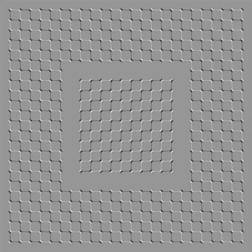 A Trick of the Eye: Optical Illusions by Akiyoshi Kitaoka | Daily ...