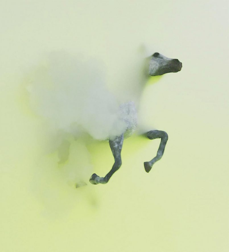 Surreal Digital Artworks & Photography by David Stenbeck | Daily design ...