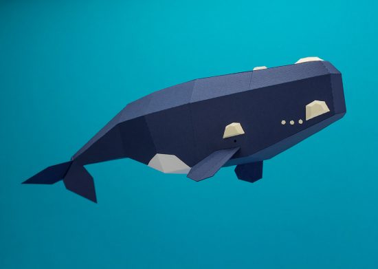 Cetaceans Collection: Beautiful Paper Artworks by Guardabosques | Daily ...