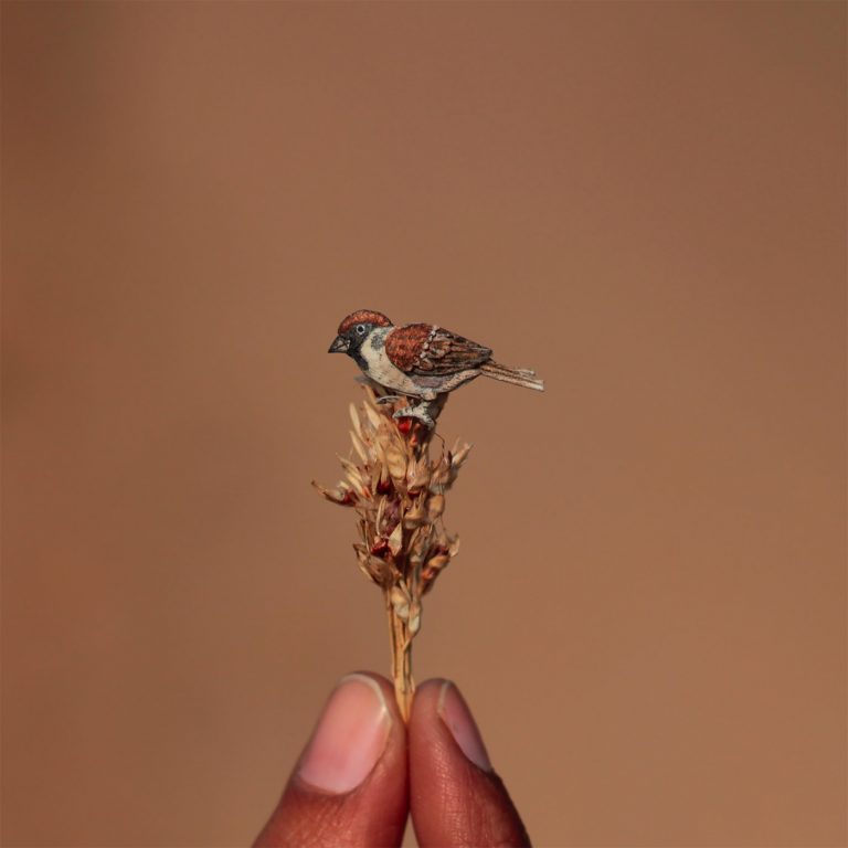 365 Miniature Paper Birds by Nayan & Vaishali | Daily design ...