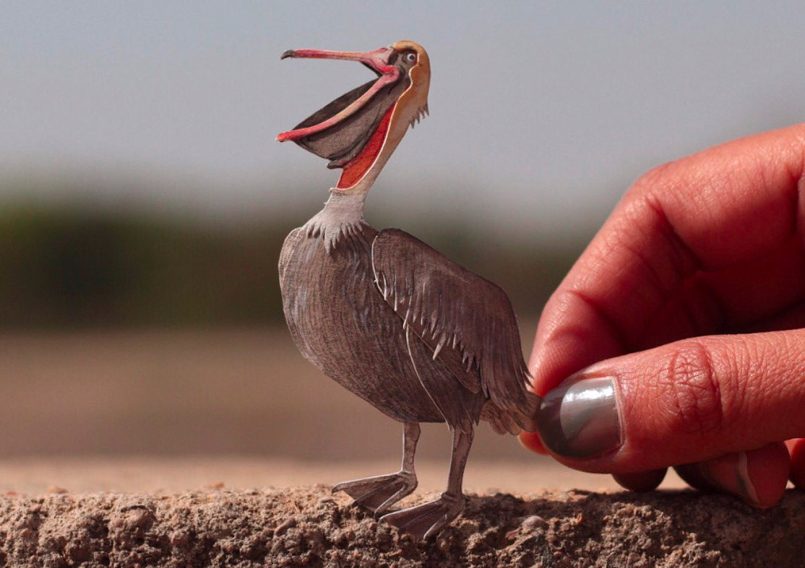 365 Miniature Paper Birds by Nayan & Vaishali | Daily design ...